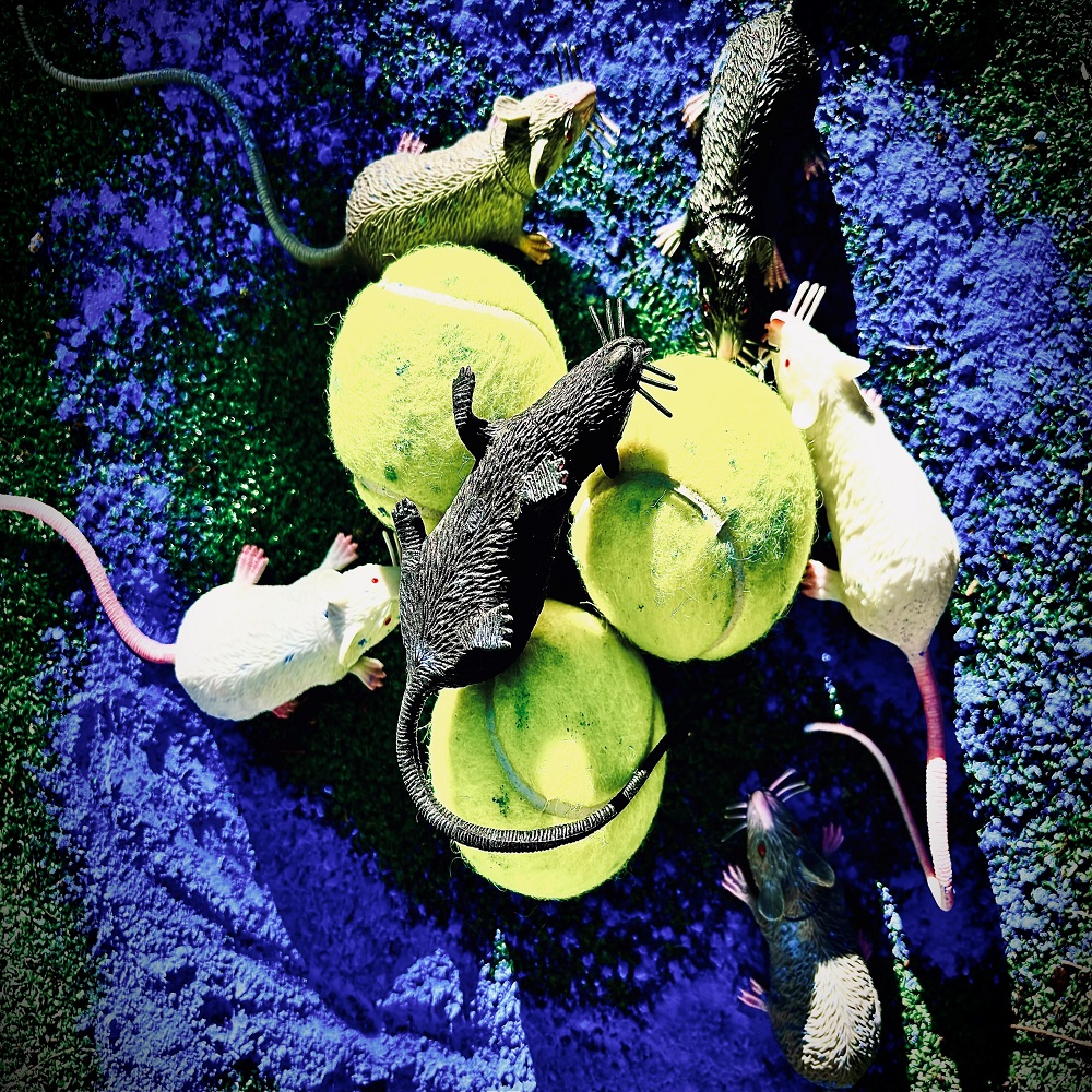 Death-of-a-Chairman-FINAL-IMAGE-1000×1000-1